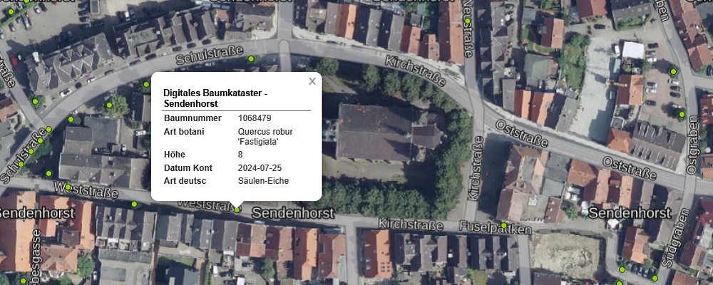 Startseite: sendenhorst